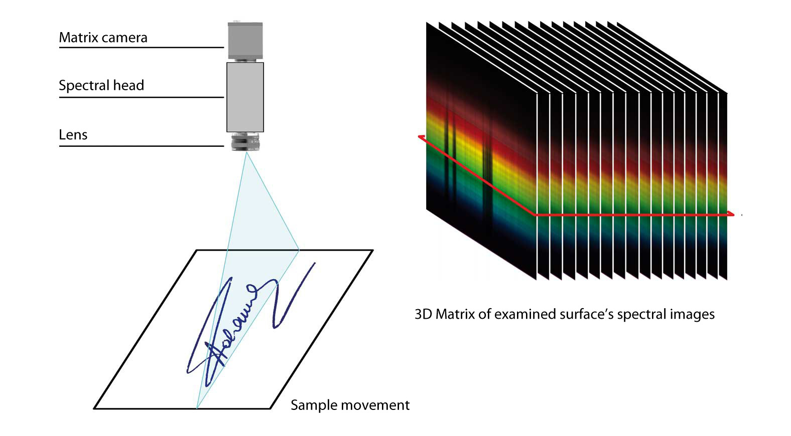 Spectral Methods